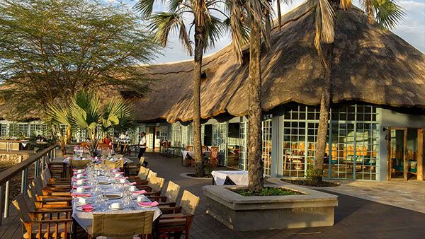 Tanzania Safari – Tanzania safaris, Mount Kilimanjaro climb